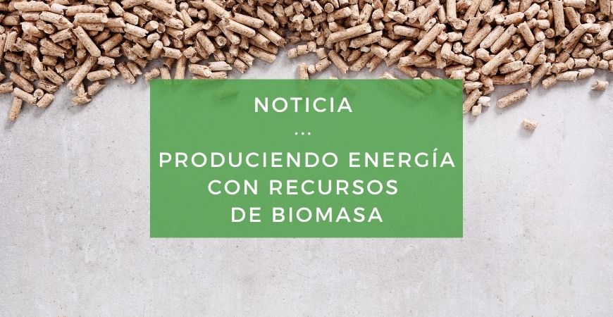 Ejemplos De Biomasa